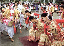 The Mysterious Jatinga: Where Birds Commit Ritual Suicide
