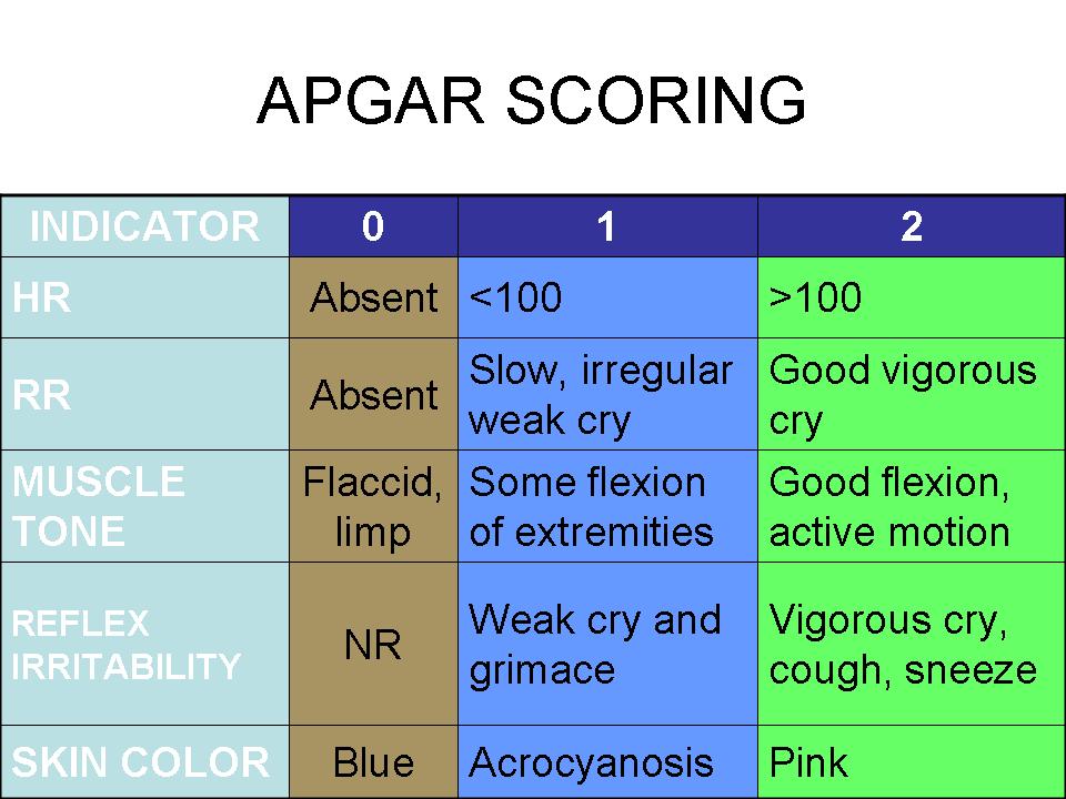 Apgar Scoring Apgar Scoring