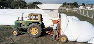 ADMINISTRADORES DEL AGRO: ENSILAJE COMO ALIMENTO PARA EL GANADO BOVINO