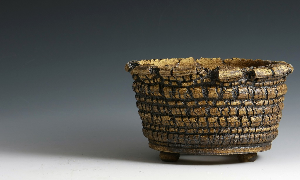 Pots and plants by Kitoi: November 2009