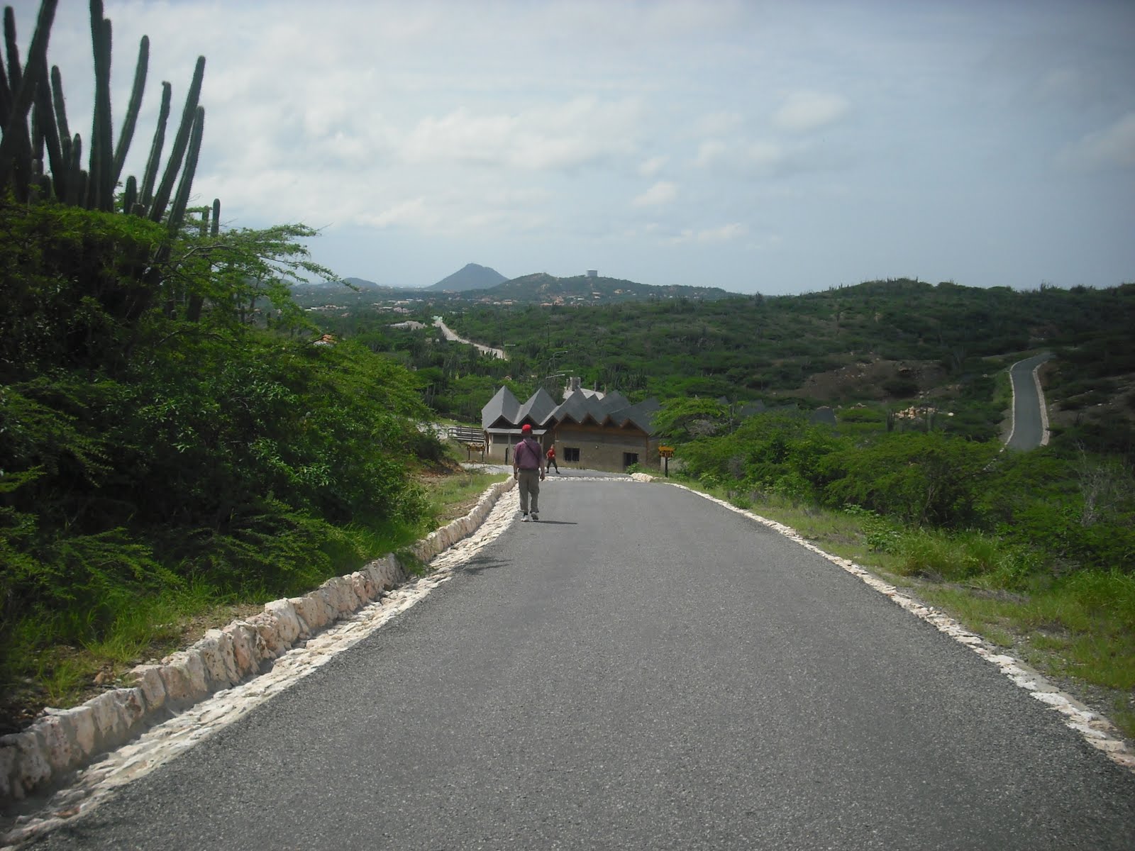 De belevenissen van de Familie Fingal op Aruba: Andicurri, Miralamar en ...