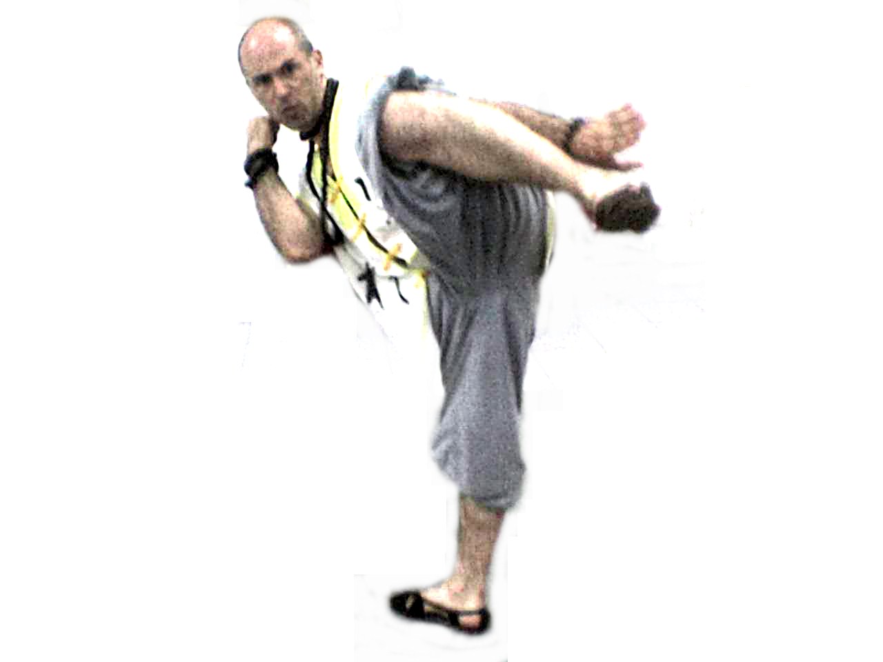 Shaolin kuan boxeo cañon