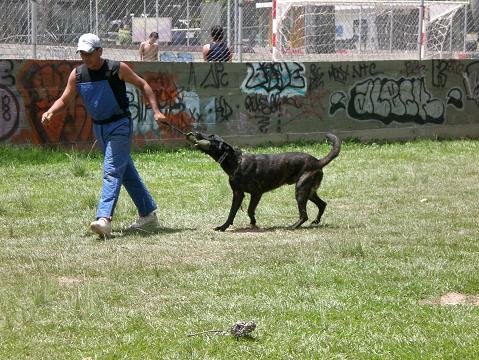 Parque Teque Teque: Usuarios y actividades