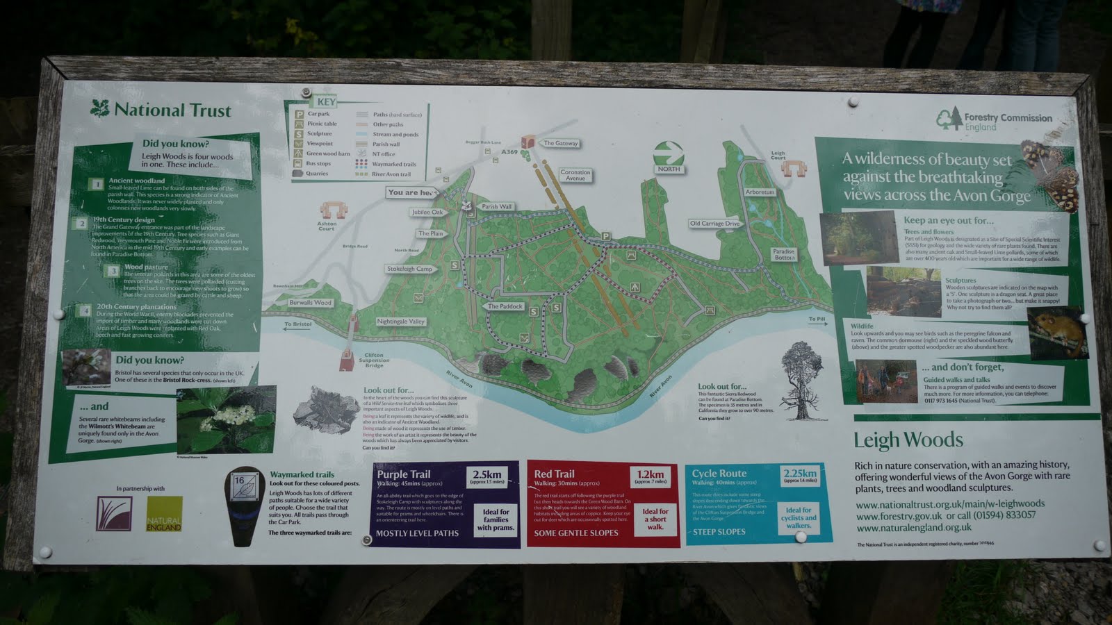 Leigh Woods Bristol - Britain All Over Travel Guide