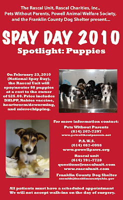 Talk at theDogWorks/cats2