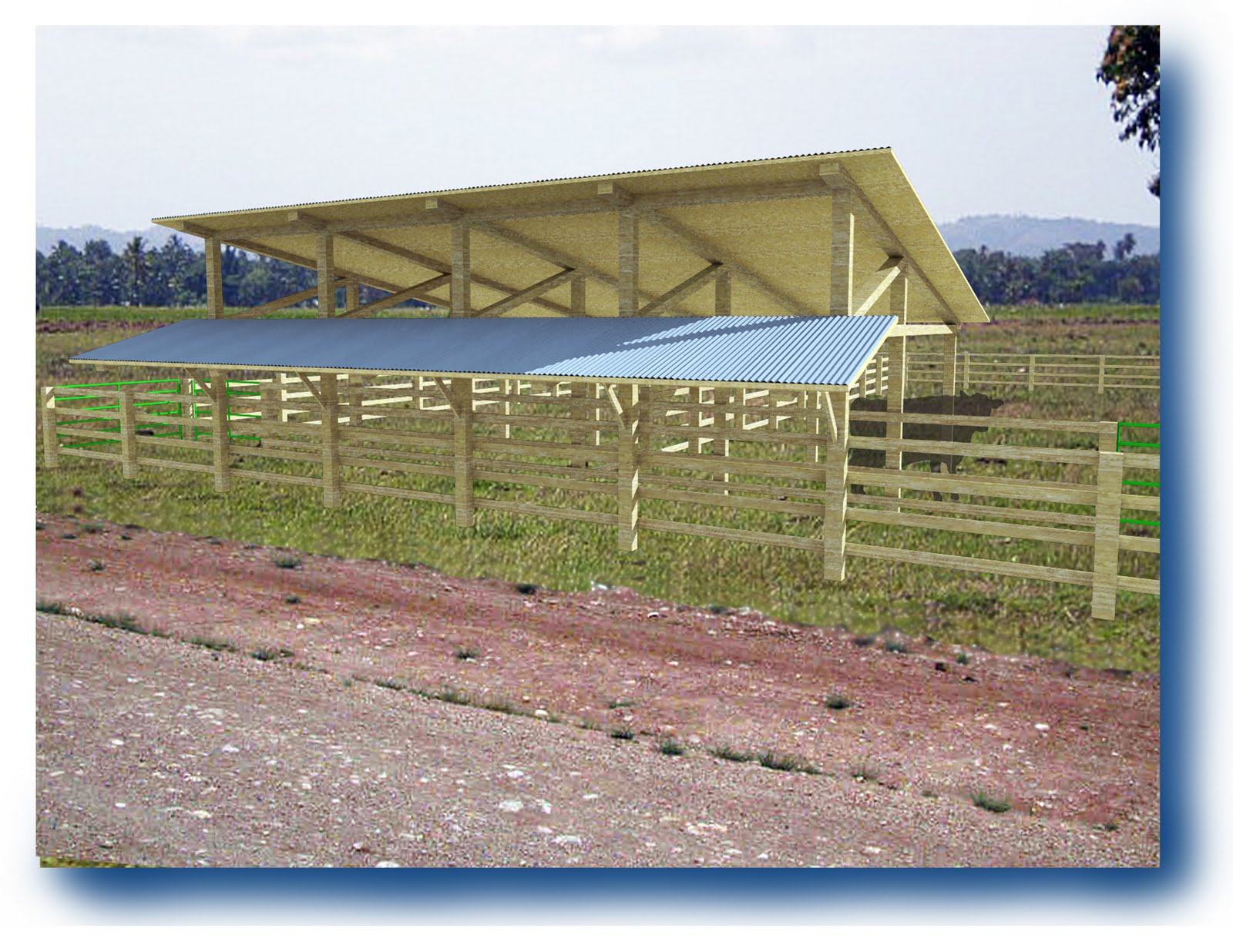 Haiti Agricultural Institute: Cattle Pasture and Shelter