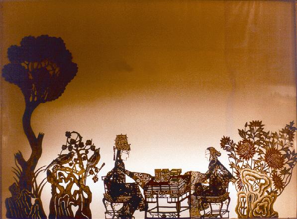 The Beauty of Shadow