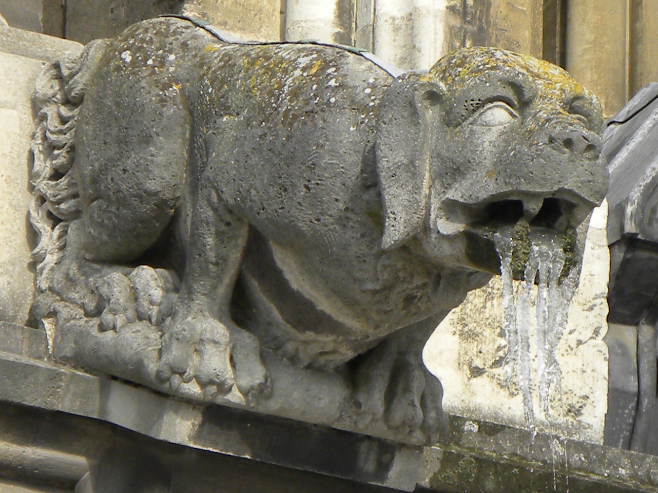 Living in Leuven: Gargoyles