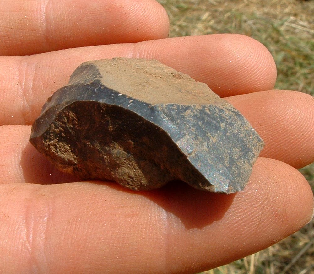 Colonial Cherokee Archaeology: Day 12 - "Snakes... Why Did it Have to ...