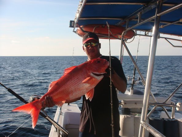 croxfiber - sportfishos lounge: ruby snapper