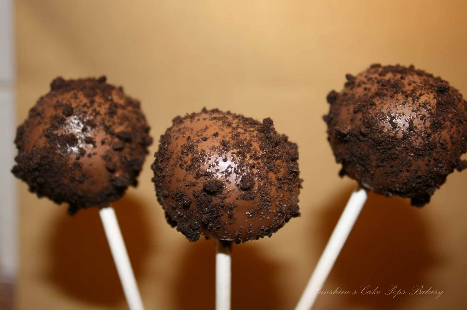 Sunshine's Cake Pops Bakery: Classic Pops
