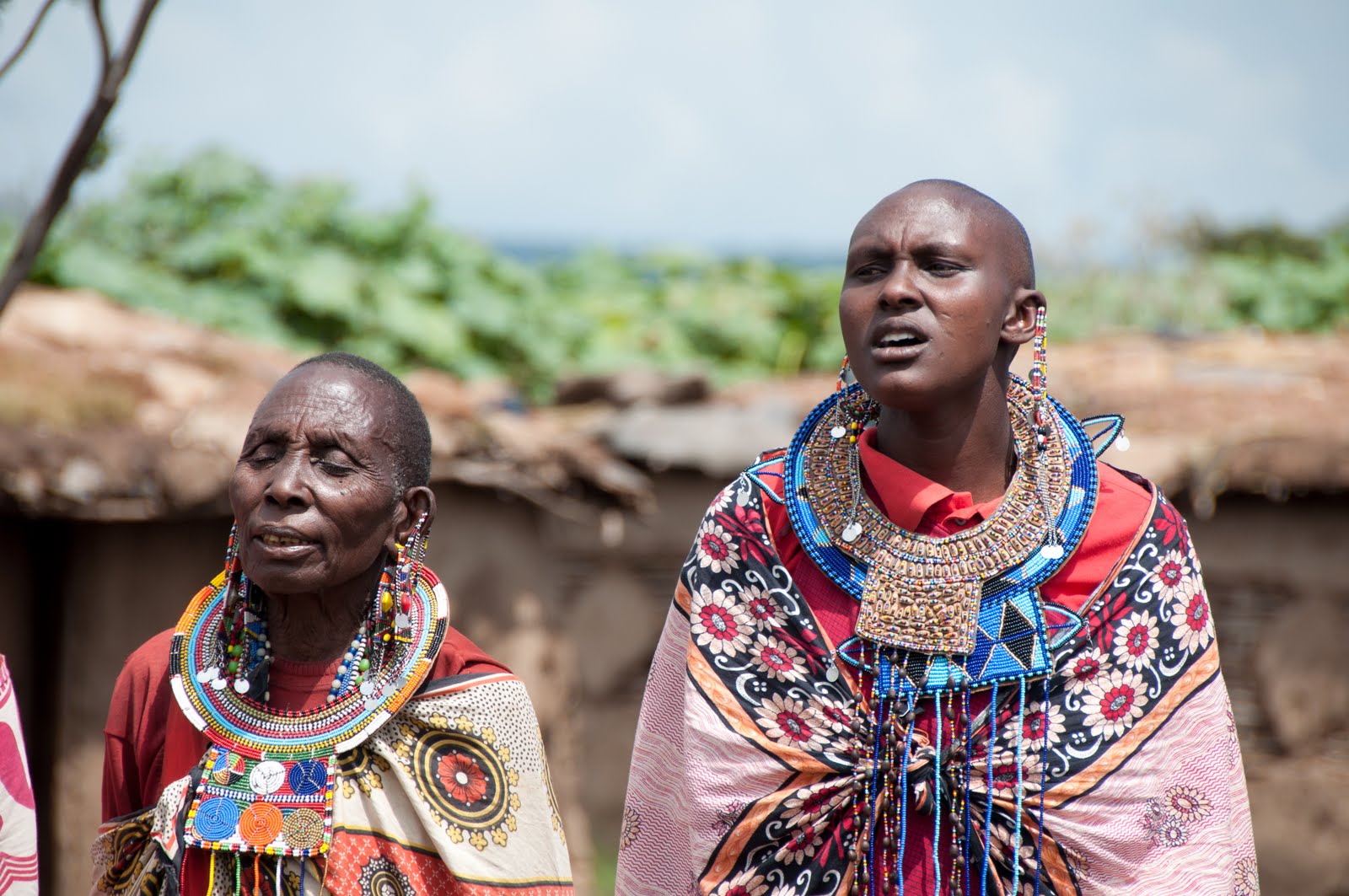 benji of arabia: Hakuna Matata... Kenya...