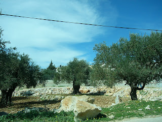 Palestine Trip 2008: Beit Anan Playground Site and Friends Center Potluck