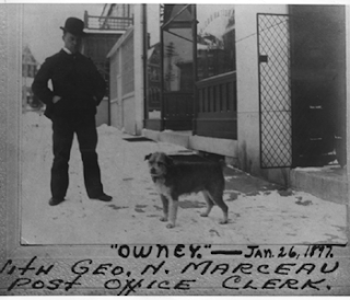 South Florida Postal Blog: "Owney" to Get "Own" Stamp in 2011