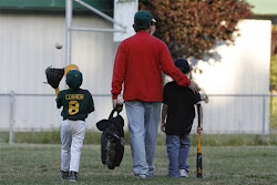 Little League Baseball Blogger: Bunting Techniques & Drills