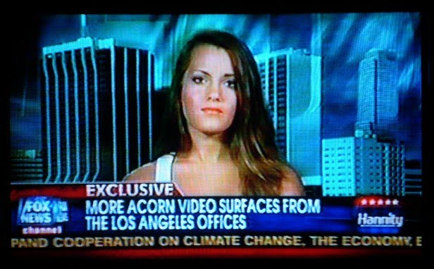 Hallandale Beach/Hollywood Blog: Hannah Giles, America's new sweetheart ...