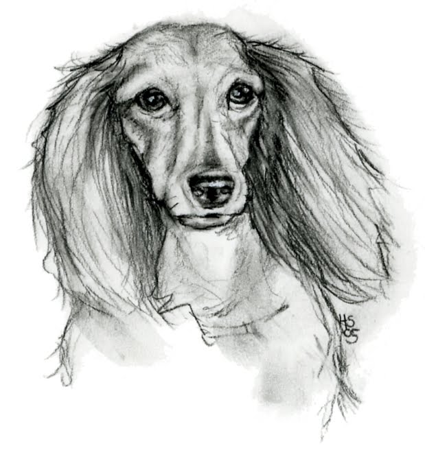 Pet Portraits by Helen Scanlon