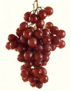 Sariwang Katas ng Ubas | Ang Blog ni Edelweiza