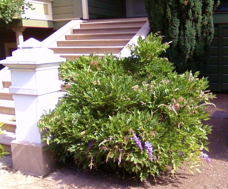 McDonald Mansion, Santa Rosa, CA