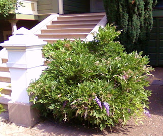 McDonald Mansion, Santa Rosa, CA: McDonald Mansion,