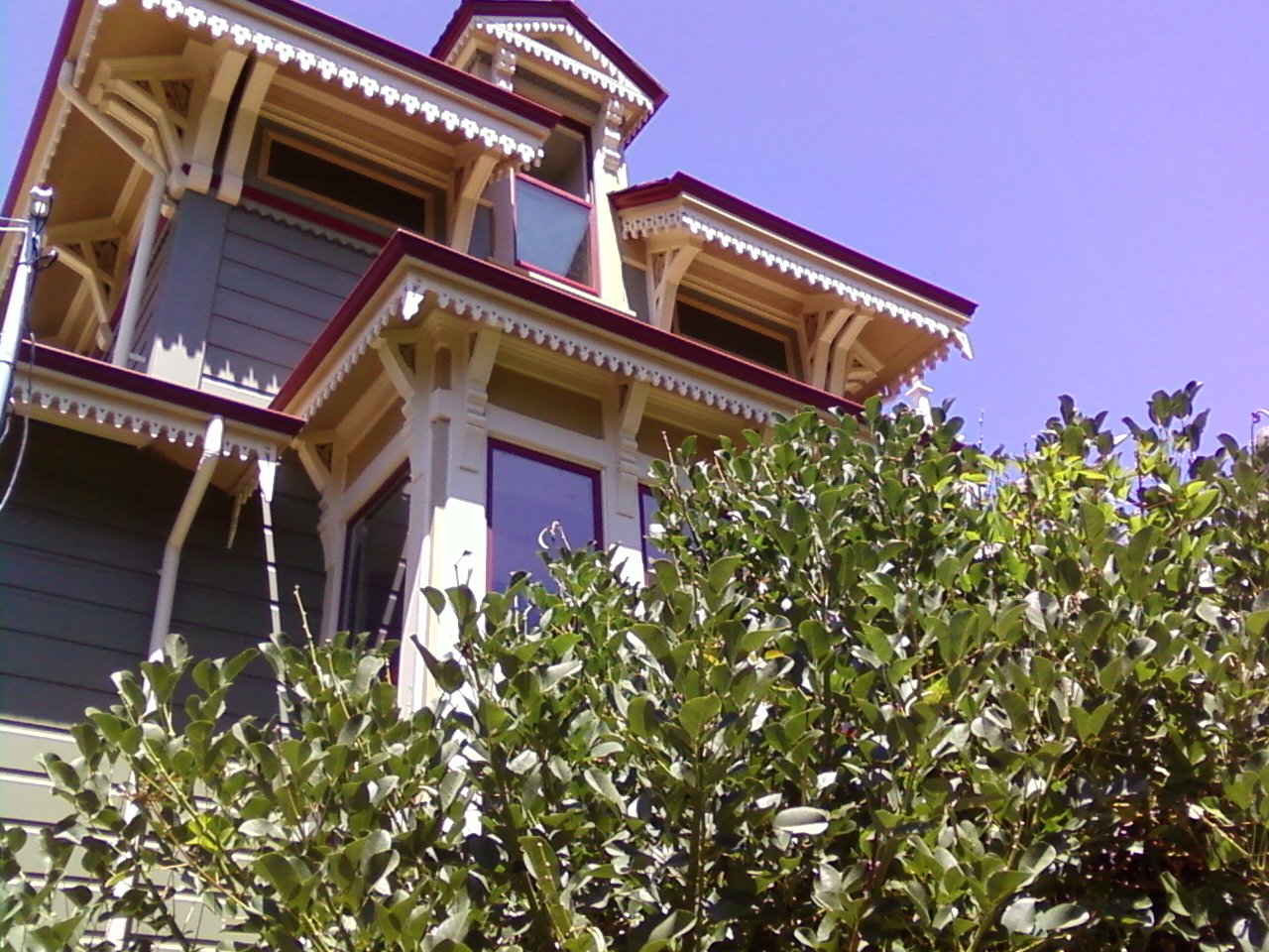 McDonald Mansion, Santa Rosa, CA: Pollyanna