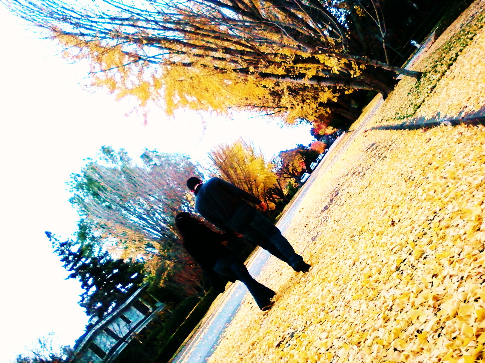 McDonald Mansion, Santa Rosa, CA