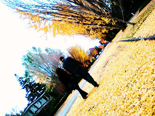 McDonald Mansion, Santa Rosa, CA