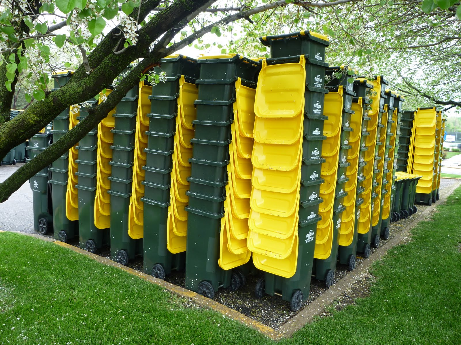 warrior ant press: t-rex returns, recycling begins