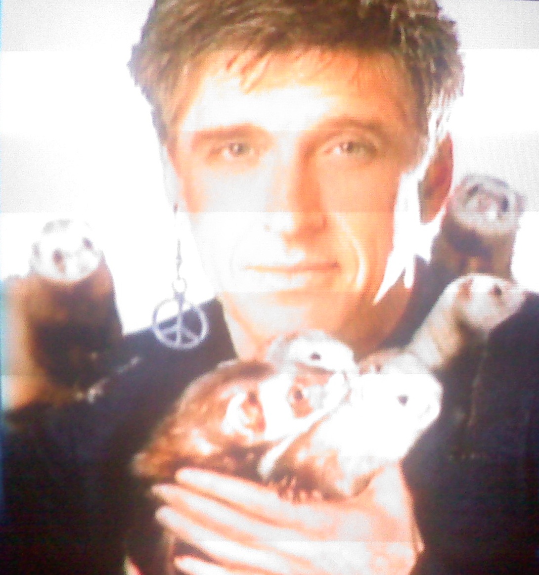 Weasel Mascot - All The Tropes