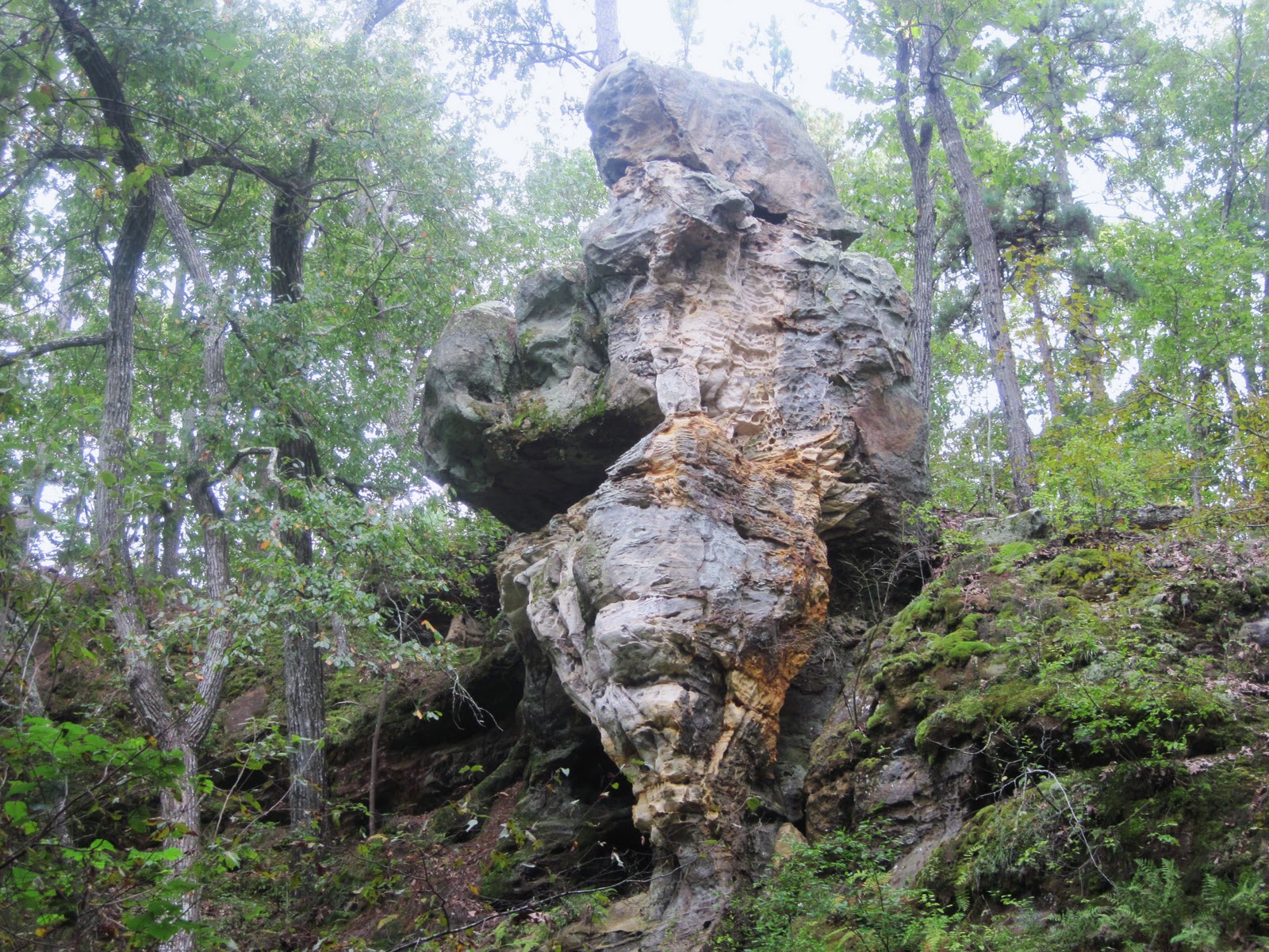 The Schramm Journey: Pickle Springs Natural Area