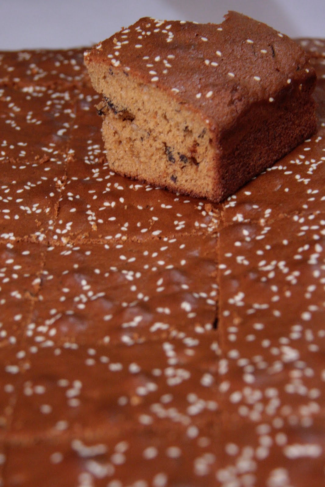 Life on Nanchang Lu: Shanghai Street Food #8 Dan Gao 蛋糕