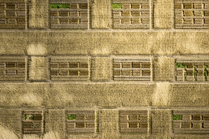 Ghosts Of The Great Highway: Epic Proportions. The Photography Of Stephan Zirwes.