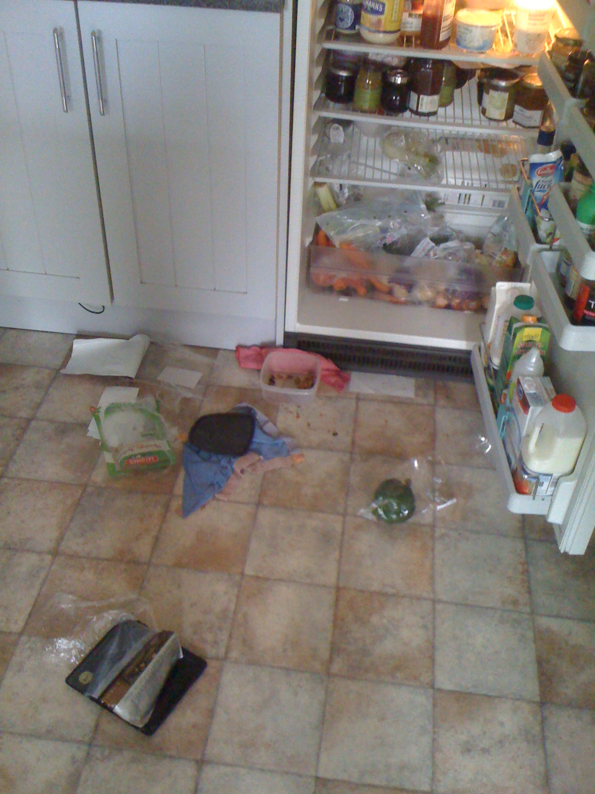 Marley & Lola's Border Terrier Life: Great Fridge Raid