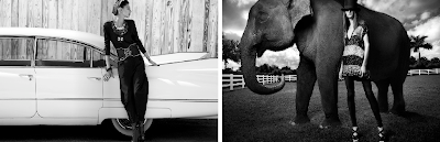 fashion production: greg lotus