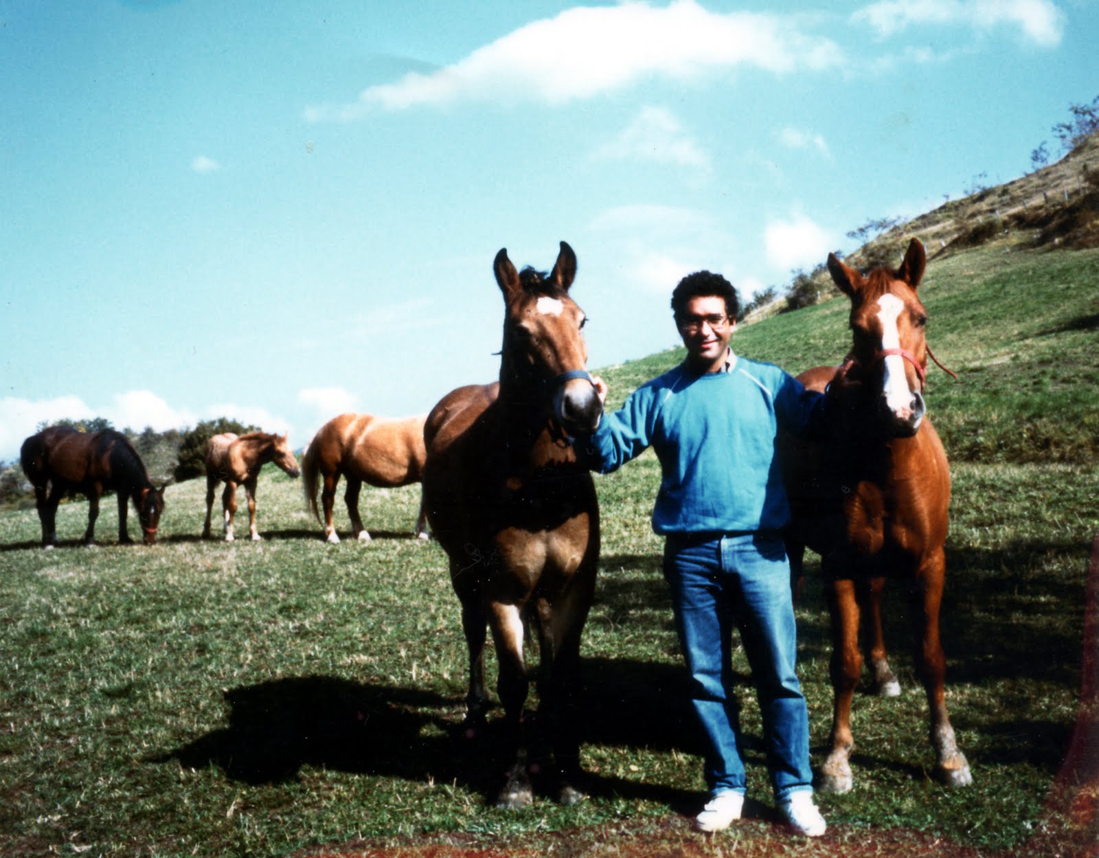 in viaggio nella natura toscana: Cavallo dell'Appennino, razza particolare