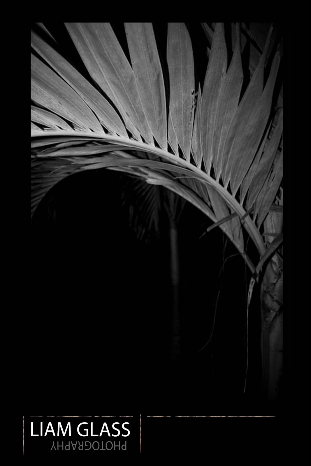 Enter the mind of liam glass.