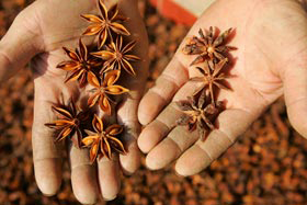 The Everything Guide to Star Anise