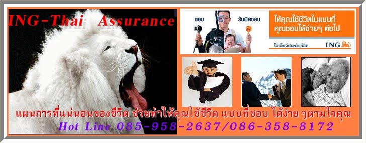 แผนของชีวิตอื่นๆกับประกันชีวิตของING