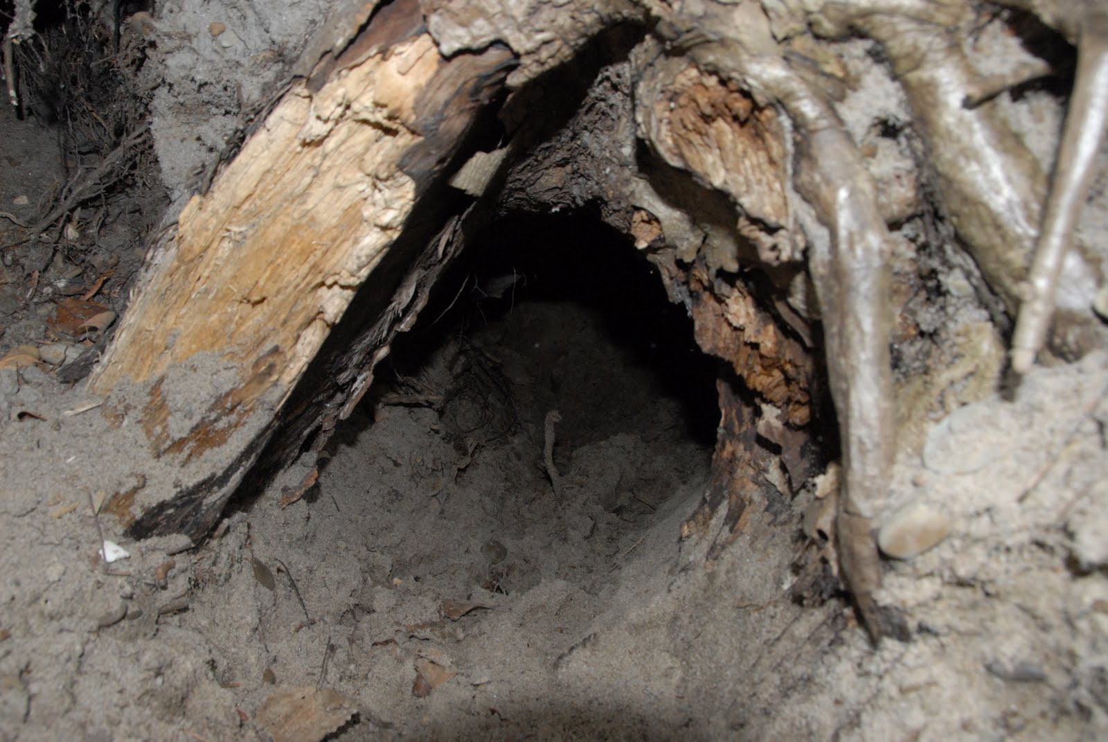 Moonfire Film Productions