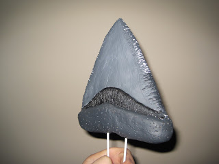 SCP: Megalodon - Recreating The Tooth