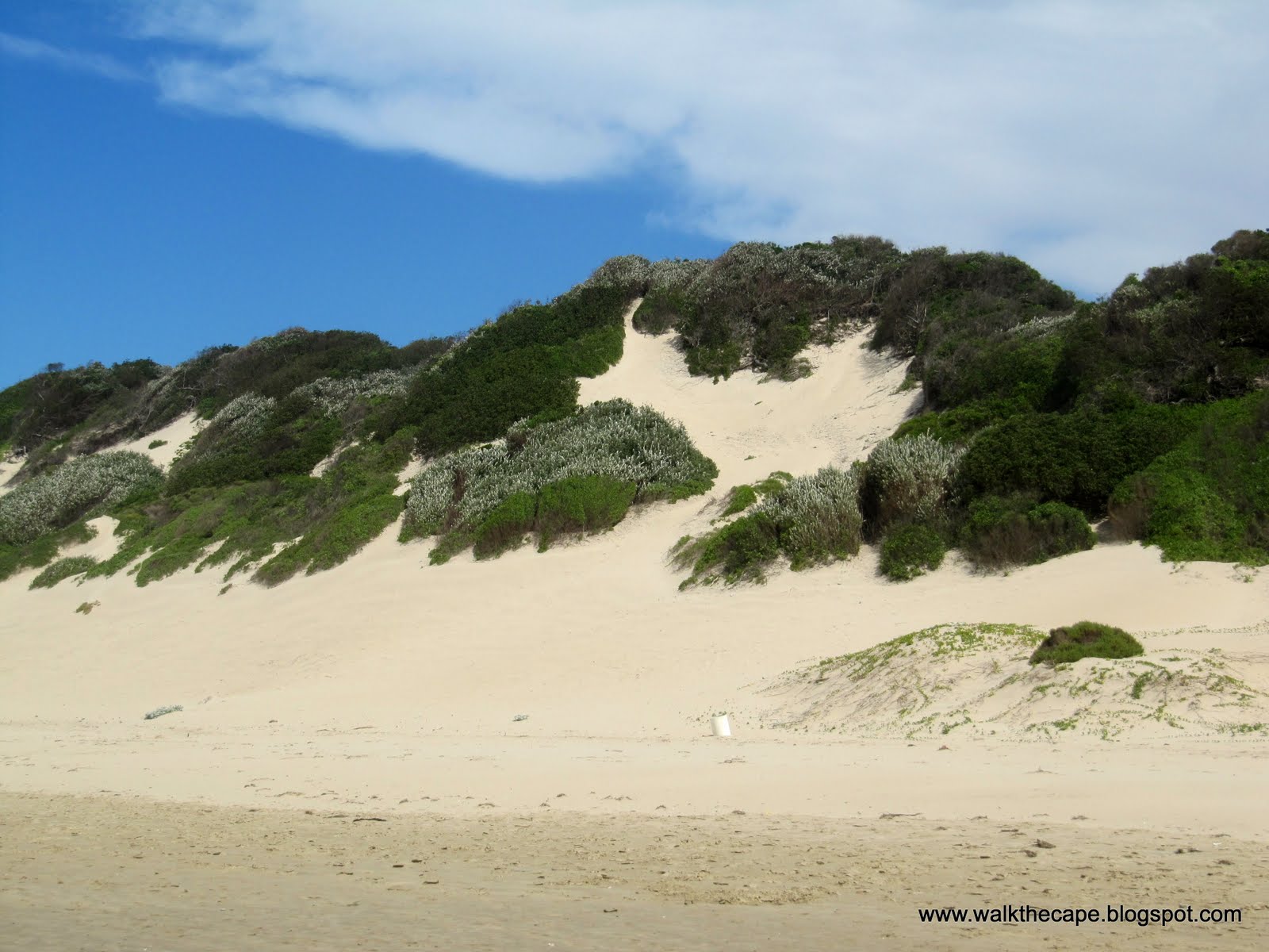 Walking the Cape: East London: Nahoon Beach