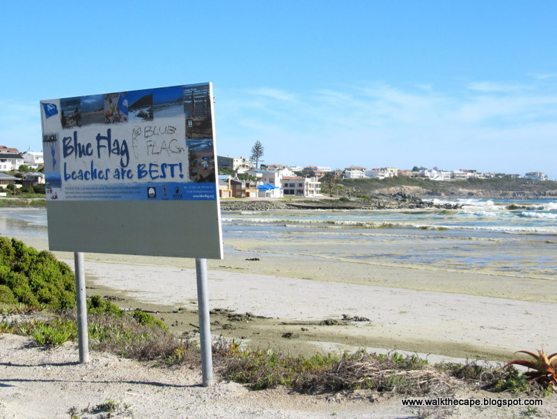 Walking the Cape: Yzerfontein: 16 Mile Beach