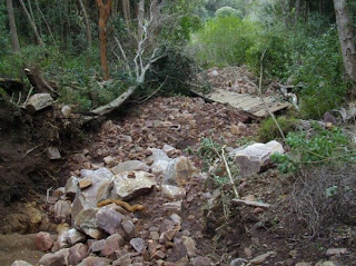 Walking the Cape: Contour Path: Constantia Nek to Newlands
