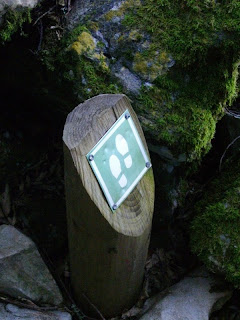 Walking the Cape: Contour Path: Constantia Nek to Newlands