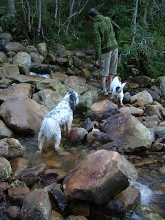 Walking the Cape: Contour Path: Constantia Nek to Newlands
