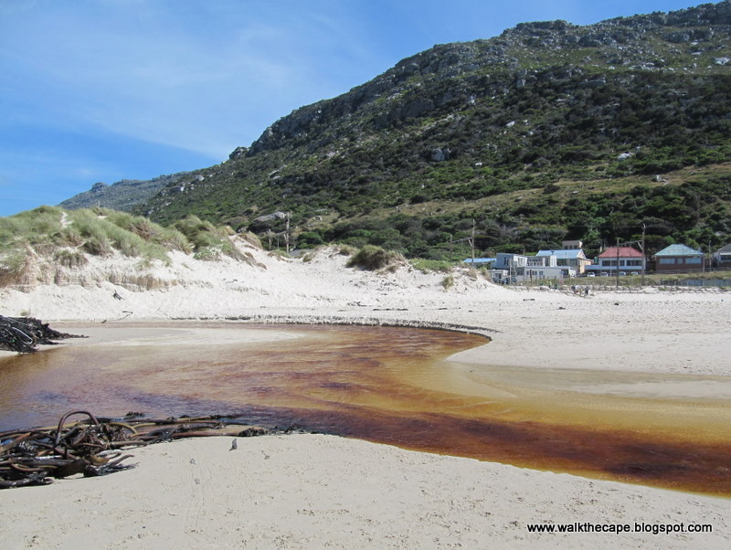 Walking the Cape: Fish Hoek Beach, Again