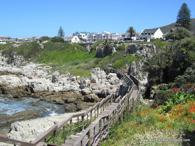 Walking the Cape: Hermanus: Cliff Path - West