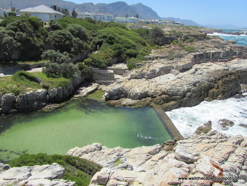 Walking the Cape: Hermanus: Cliff Path - West