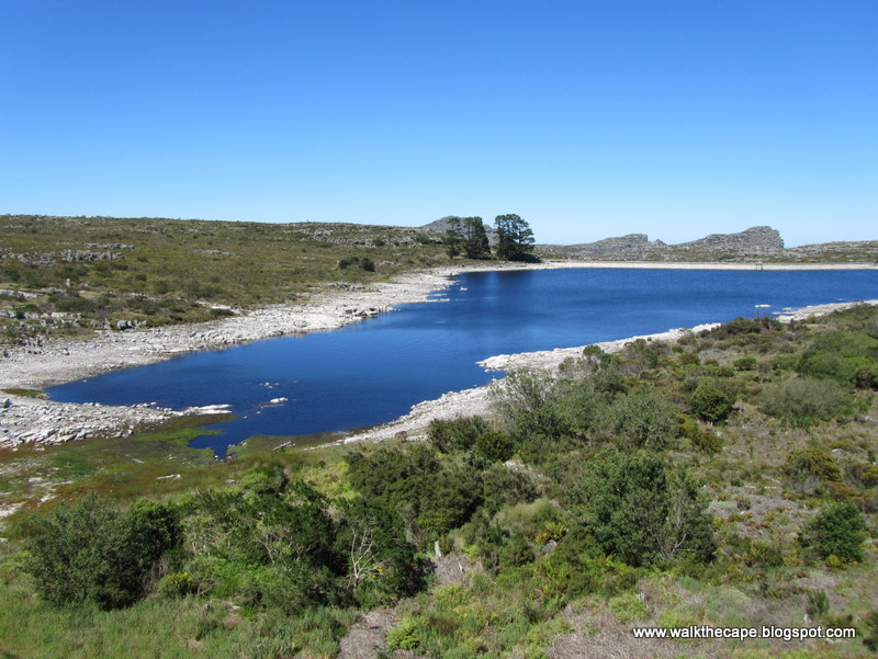 Walking the Cape: Back Table, Dams & Waterworks Museum
