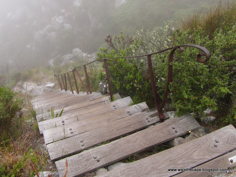 Walking the Cape: Skeleton Gorge & Nursery Ravine